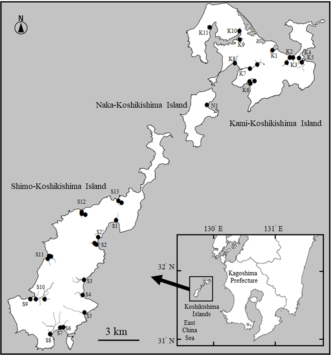 甑島列島における淡水産コエビ類の分布 – Nature of Kagoshima – ONLINE